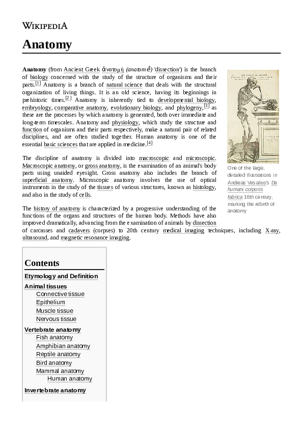 (PDF) Anatomy