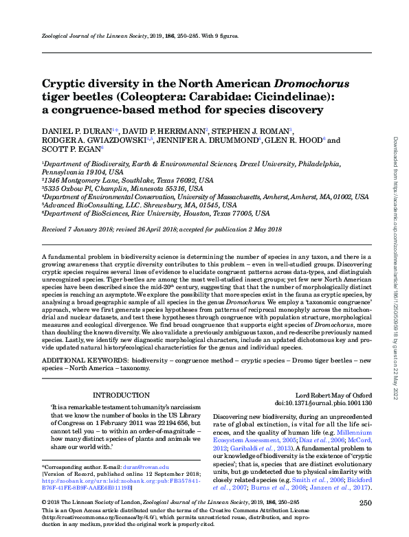 (PDF) Cryptic diversity in the North American Dromochorus tiger beetles ...