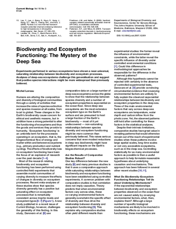 (PDF) Biodiversity and Ecosystem Functioning: The Mystery of the Deep Sea