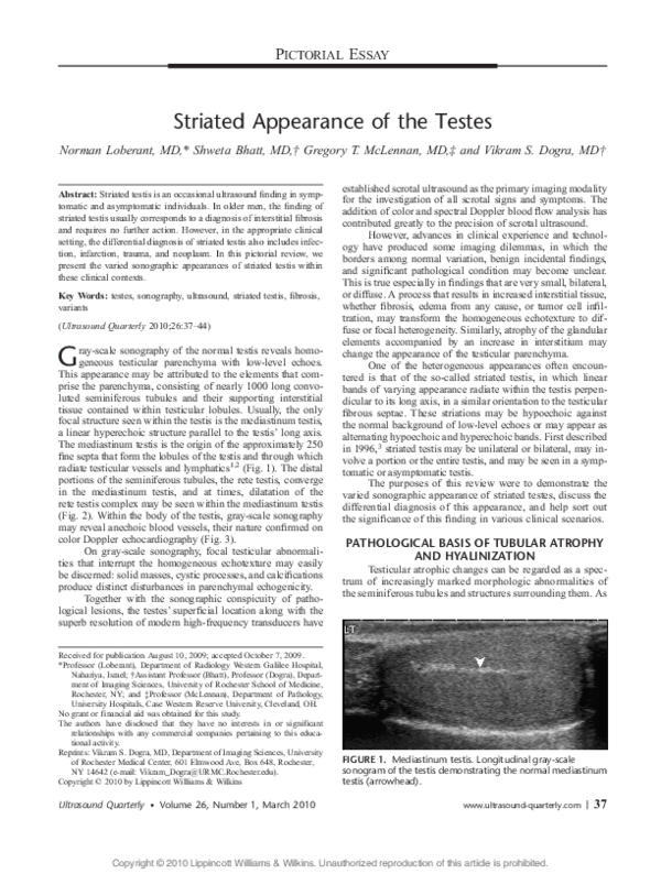 (PDF) Striated Appearance of the Testes