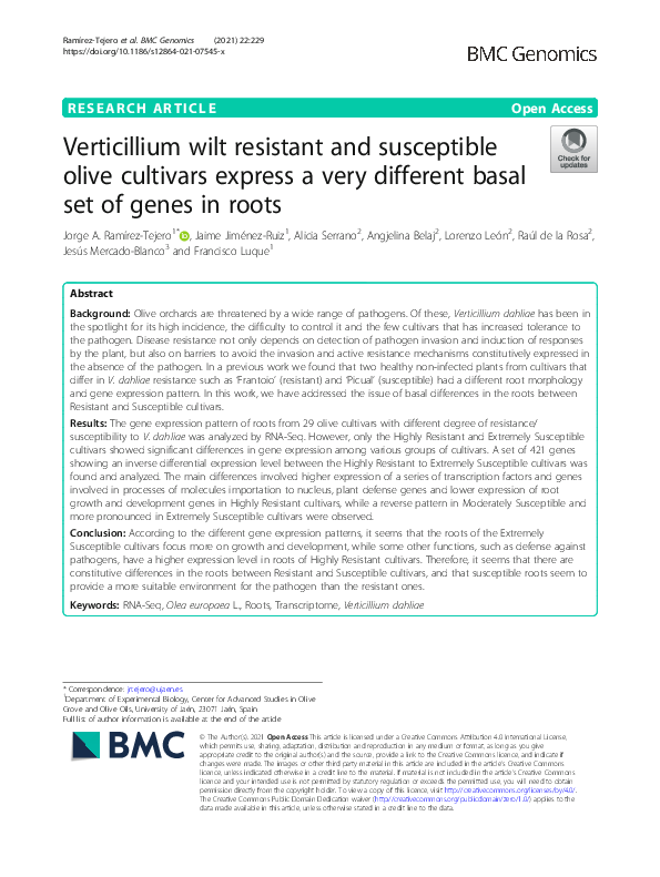 (PDF) Verticillium wilt resistant and susceptible olive cultivars ...
