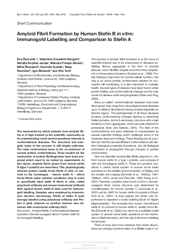 (PDF) Amyloid Fibril Formation by Human Stefin B in vitro: Immunogold ...
