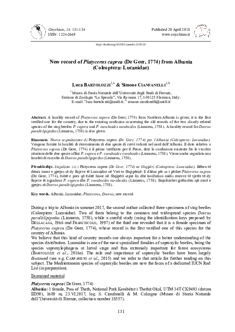 (PDF) New Record Of Platycerus Caprea (De Geer, 1774) From Albania ...