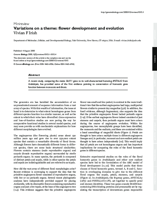 (PDF) Variations on a theme: flower development and evolution