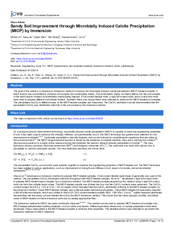 (PDF) Sandy Soil Improvement through Microbially Induced Calcite ...