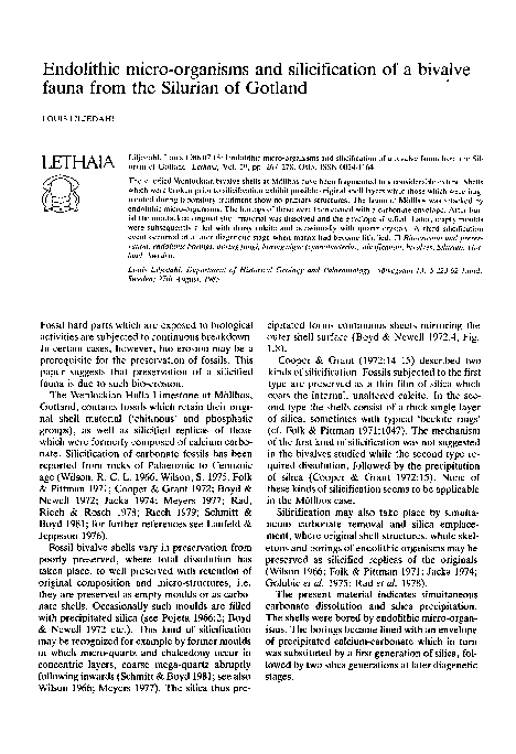 (PDF) Endolithic micro‐organisms silicification of a bivalve fauna from ...
