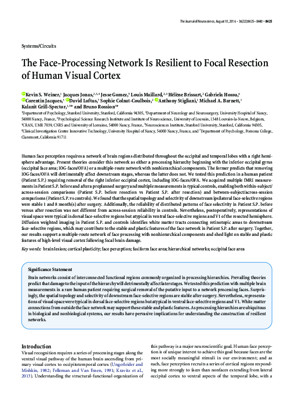 (PDF) The Face-Processing Network Is Resilient to Focal Resection of ...