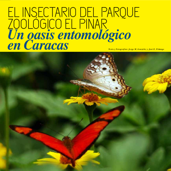 (PDF) El insectario del parque zoológico El Pinar: un oasis ...