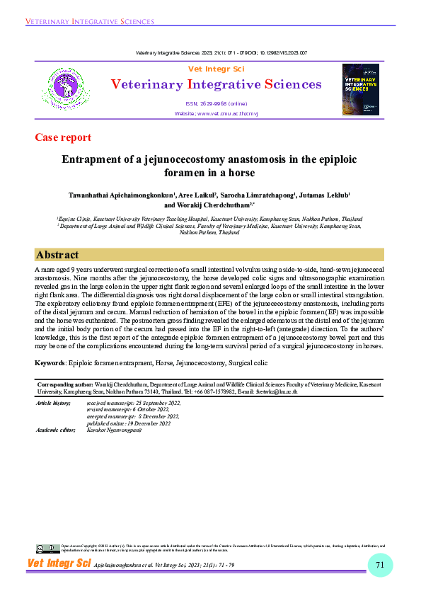 (PDF) Entrapment of a jejunocecostomy anastomosis in the epiploic ...