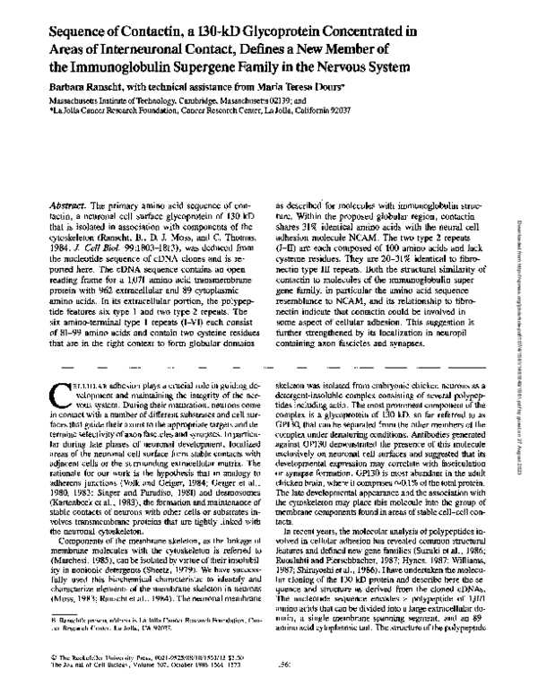 (PDF) Sequence of contactin, a 130-kD glycoprotein concentrated in ...