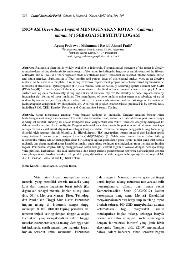 (PDF) INOVASI Green Bone Implant MENGGUNAKAN ROTAN ( Calamus manau M ...