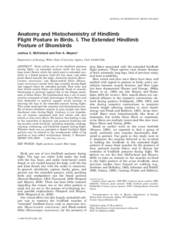 (PDF) Anatomy and histochemistry of hindlimb flight posture in birds. I ...