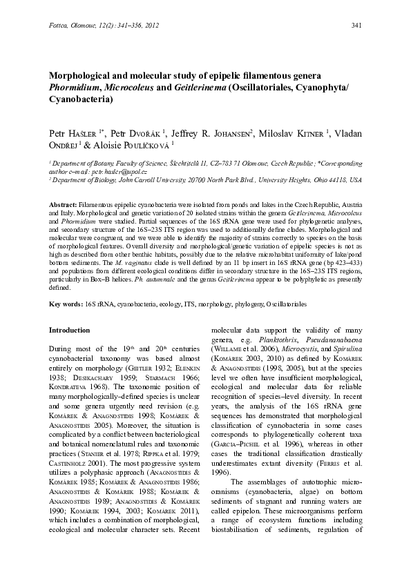 (PDF) Morphological and molecular study of epipelic filamentous genera ...