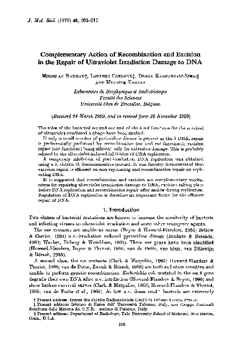 (PDF) Complementary action of recombination and excision in the repair ...