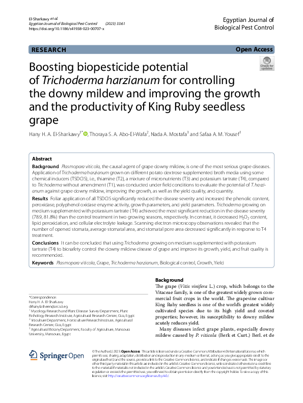 (PDF) Boosting biopesticide potential of Trichoderma harzianum for controlling the downy mildew ...