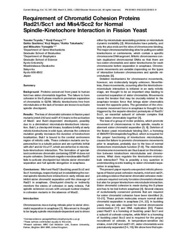 (PDF) Requirement of Chromatid Cohesion Proteins Rad21/Scc1 and Mis4 ...