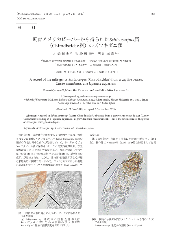 (PDF) A record of the mite genus Schizocarpus (Chirodiscidae) from a ...