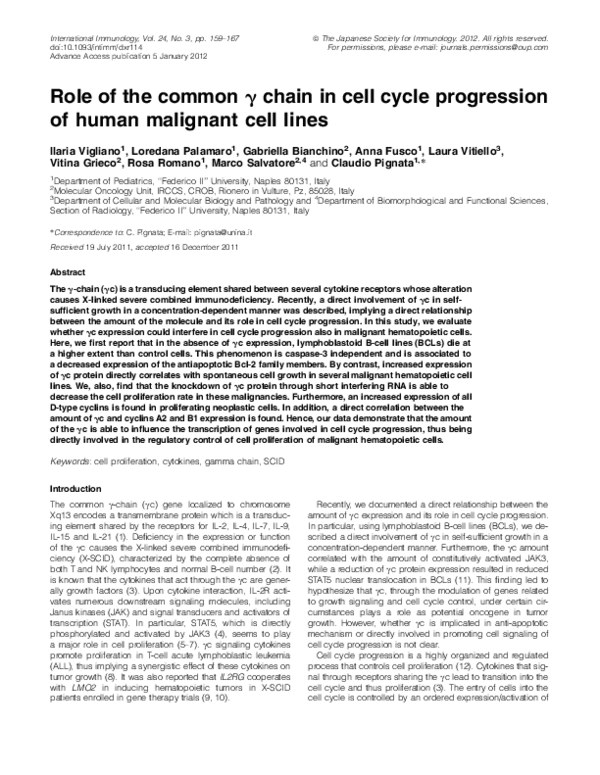 (PDF) Role of the common chain in cell cycle progression of human ...