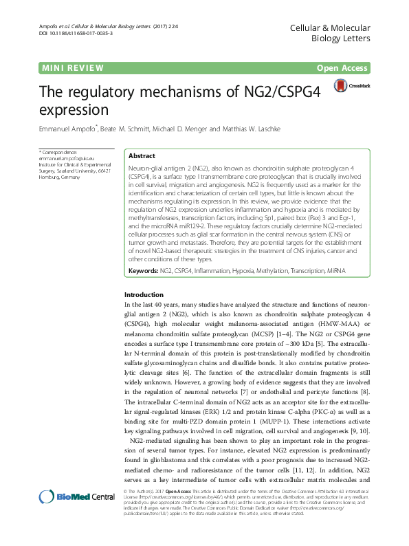 (PDF) The regulatory mechanisms of NG2/CSPG4 expression