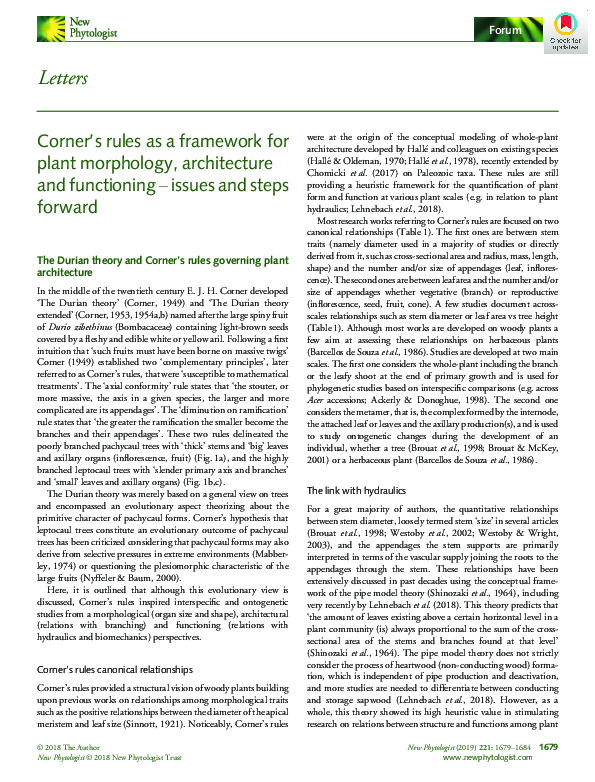 (PDF) Corner's rules as a framework for plant morphology, architecture ...