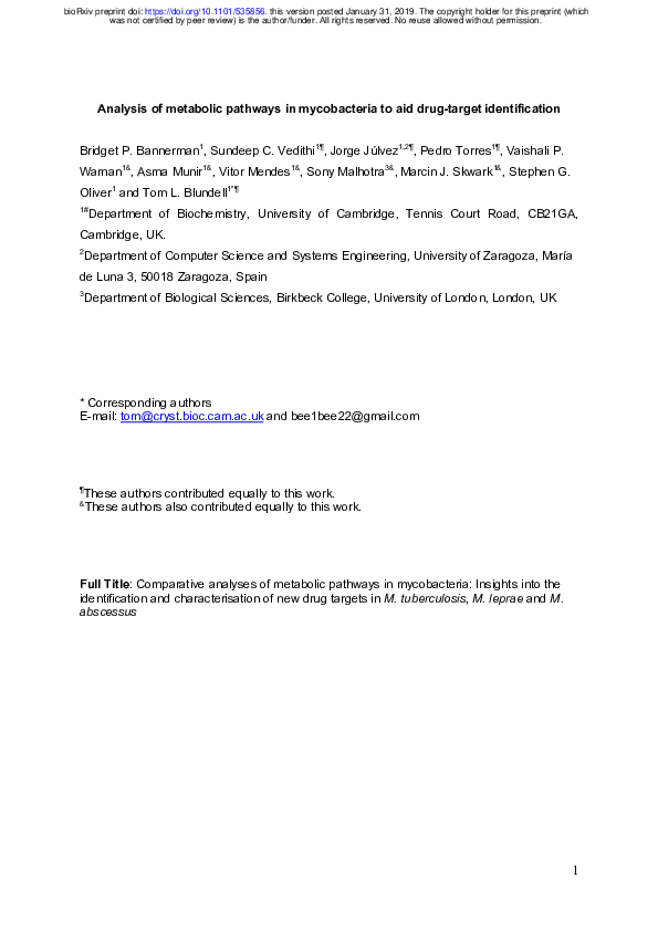 (PDF) Analysis of metabolic pathways in mycobacteria to aid drug-target identification
