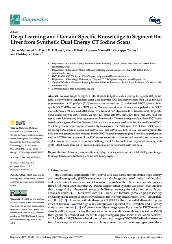 (PDF) Deep Learning and Domain-Specific Knowledge to Segment the Liver from Synthetic Dual ...