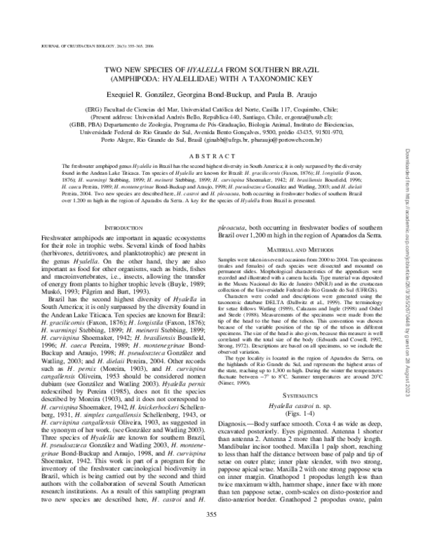 (PDF) Two New Species of Hyalella from Southern Brazil (Amphipoda ...