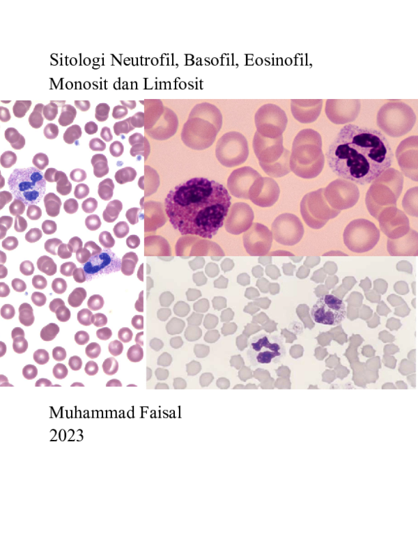 (PDF) Atlas Sel darah putih