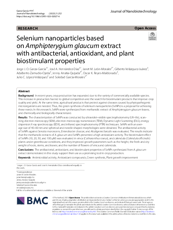 (PDF) Selenium nanoparticles based on Amphipterygium glaucum extract with antibacterial ...