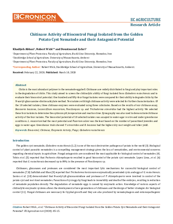(PDF) Chitinase Activity of Biocontrol Fungi Isolated from the Golden Potato Cyst Nematode and ...