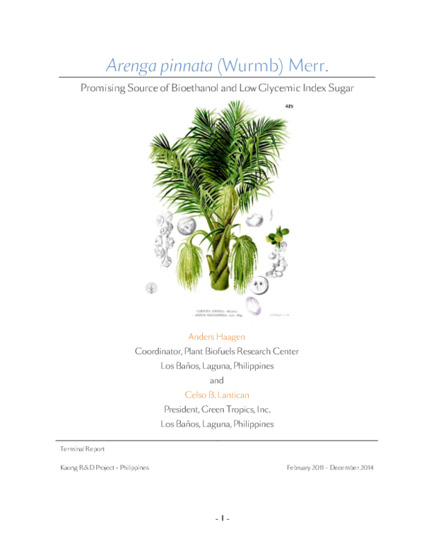 (PDF) Arenga pinnata (Wurmb) Merr. Promising Source of Bioethanol and ...