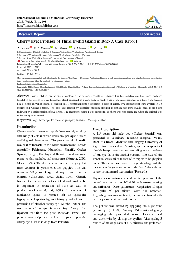 (PDF) Cherry Eye: Prolapse of Third Eyelid Gland in Dog- A Case Report