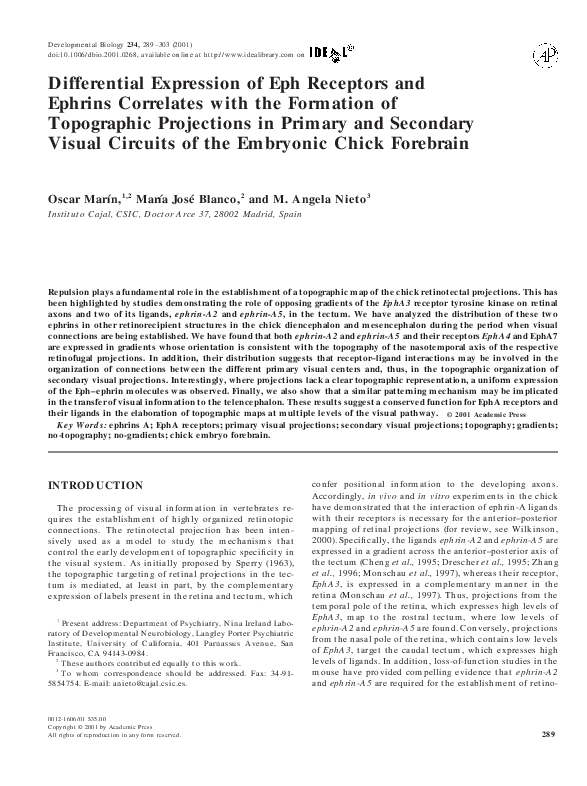 (PDF) Differential Expression of Eph Receptors and Ephrins Correlates ...