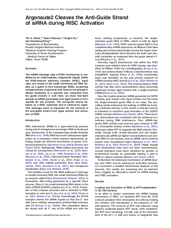 (PDF) Argonaute2 Cleaves the Anti-Guide Strand of siRNA during RISC ...