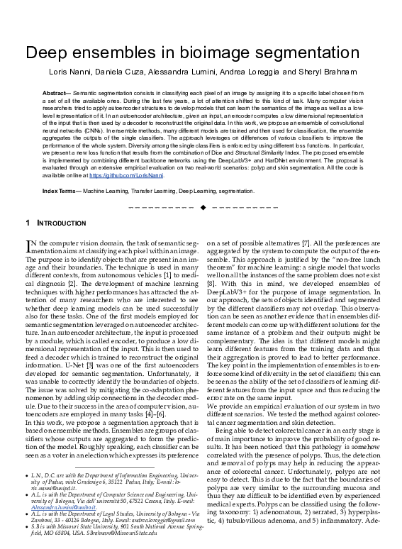 (PDF) Deep ensembles in bioimage segmentation | Sheryl Brahnam ...