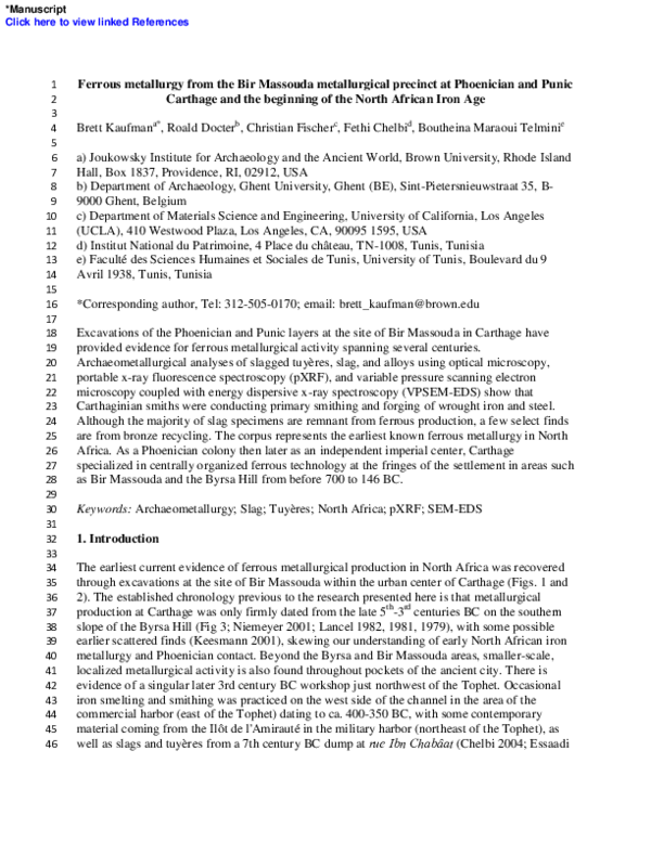 (PDF) Ferrous metallurgy from the Bir Massouda metallurgical precinct ...