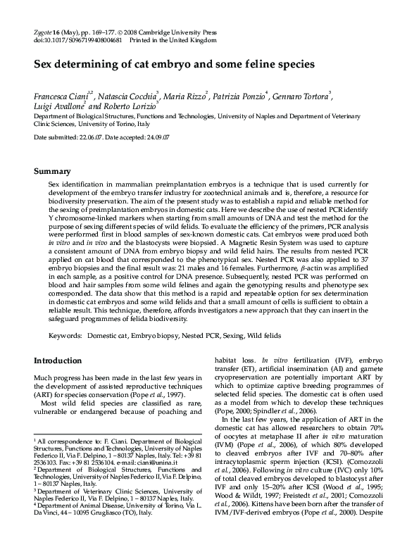 (PDF) Sex determining of cat embryo and some feline species