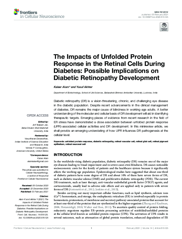 (PDF) The Impacts of Unfolded Protein Response in the Retinal Cells ...