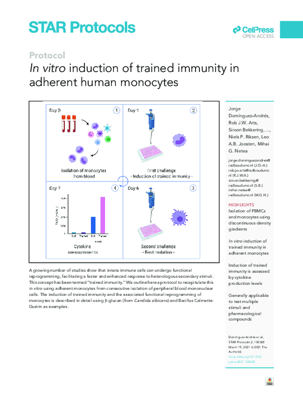 (PDF) In vitro induction of trained immunity in adherent human monocytes