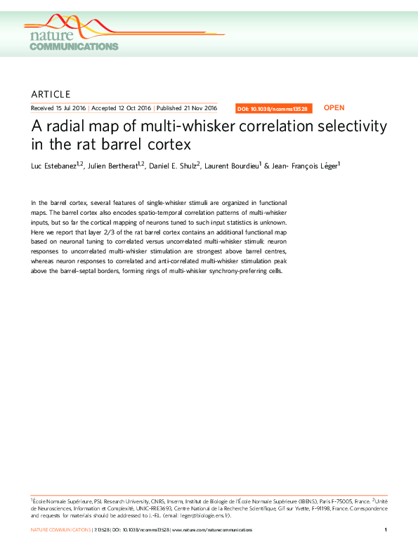 (PDF) A radial map of multi-whisker correlation selectivity in the rat barrel cortex
