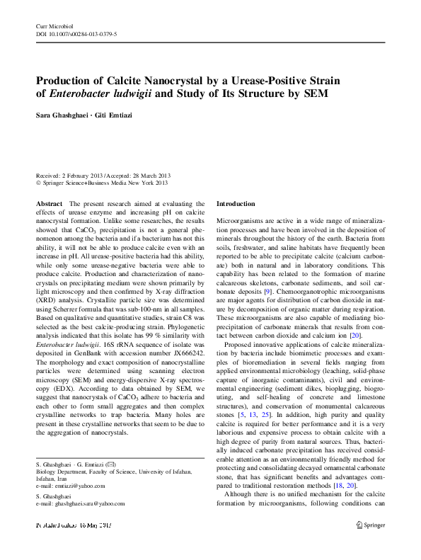 (PDF) Production of Calcite Nanocrystal by a Urease-Positive Strain of ...