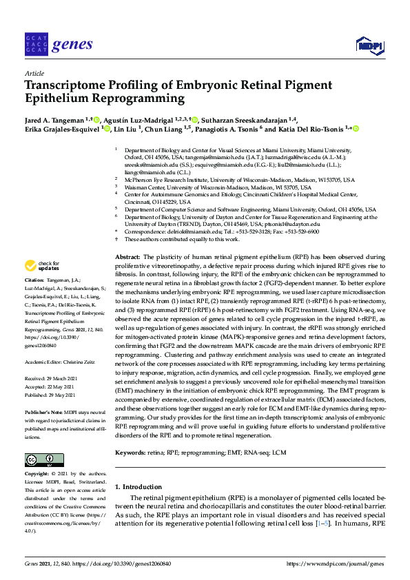 (PDF) Transcriptome Profiling of Embryonic Retinal Pigment Epithelium ...