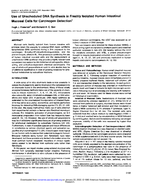(PDF) Use of unscheduled DNA synthesis in freshly isolated human ...