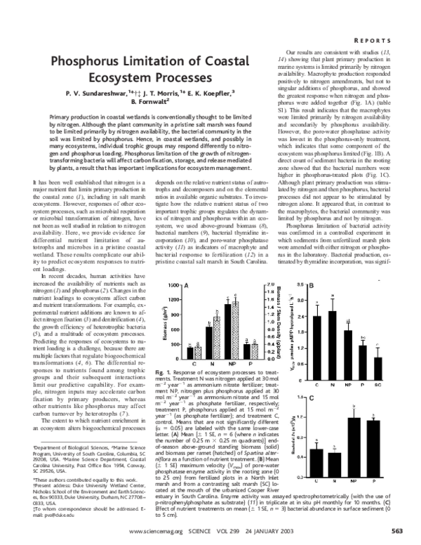 (PDF) Phosphorus Limitation of Coastal Ecosystem Processes