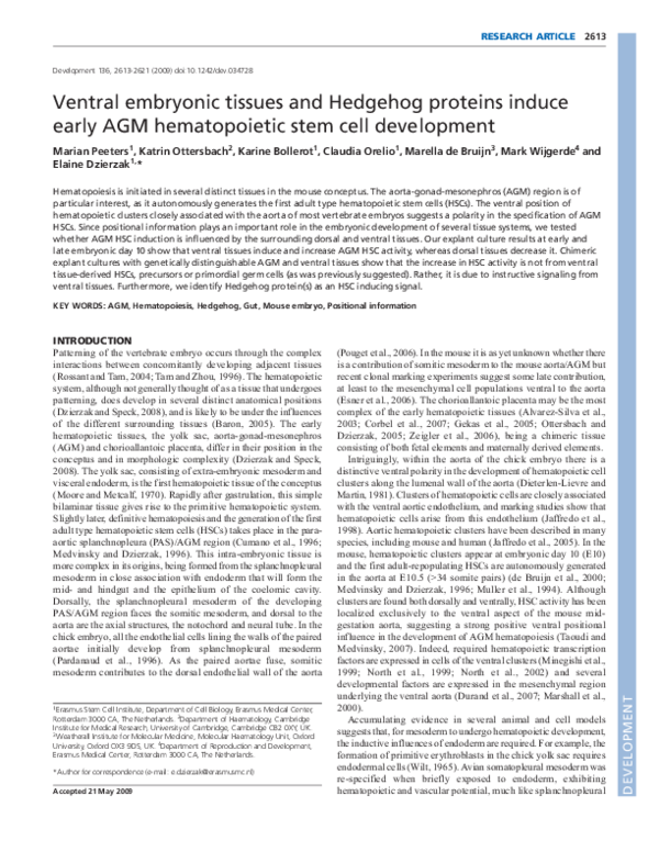 (PDF) Ventral embryonic tissues and Hedgehog proteins induce early AGM ...