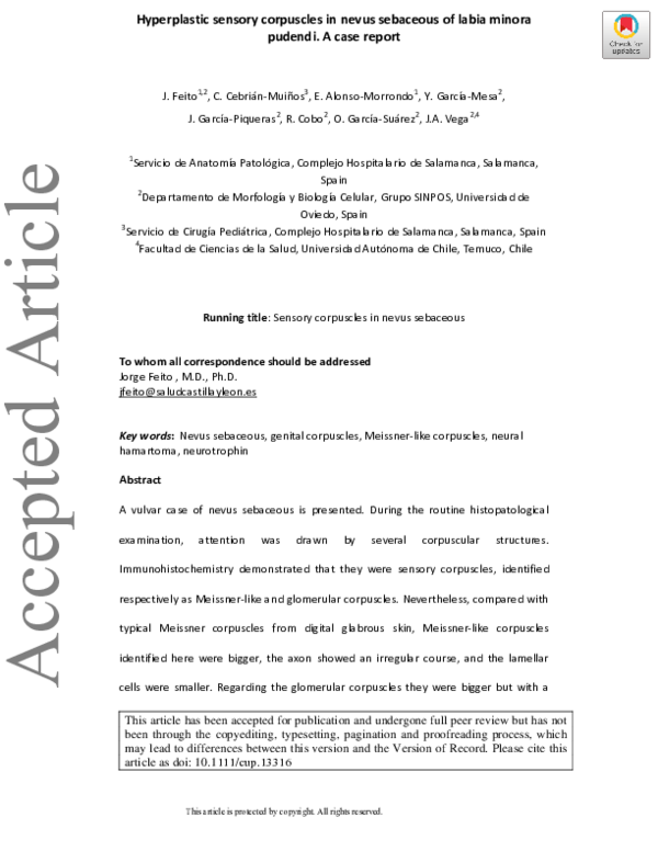 (PDF) Hyperplastic sensory corpuscles in nevus sebaceus of labia minora ...
