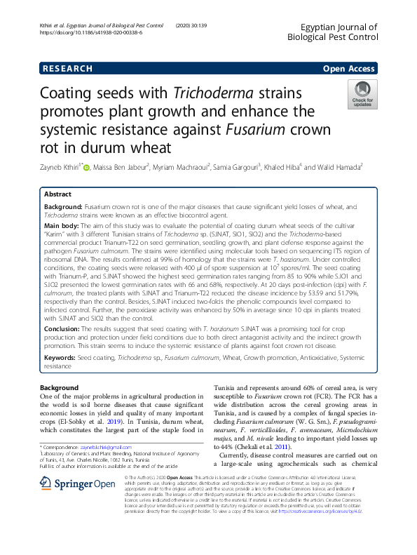 (PDF) Coating seeds with Trichoderma strains promotes plant growth and ...