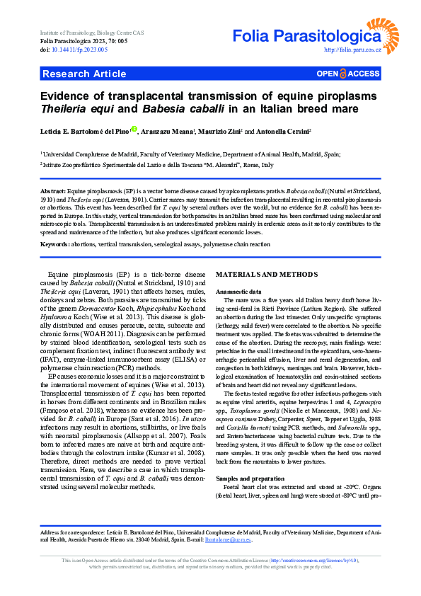 (PDF) Evidence of transplacental transmission of equine piroplasms ...