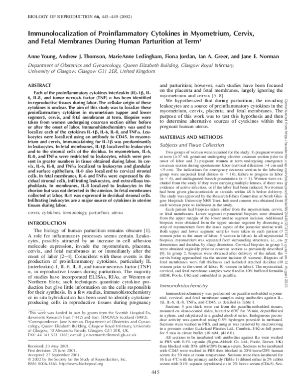 (PDF) Immunolocalization of Proinflammatory Cytokines in Myometrium ...