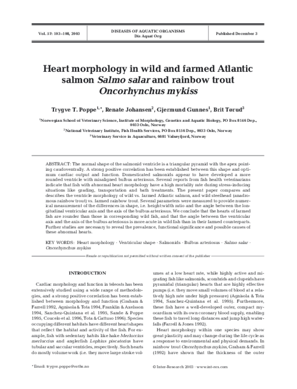 (PDF) Heart morphology in wild and farmed Atlantic salmon Salmo salar ...